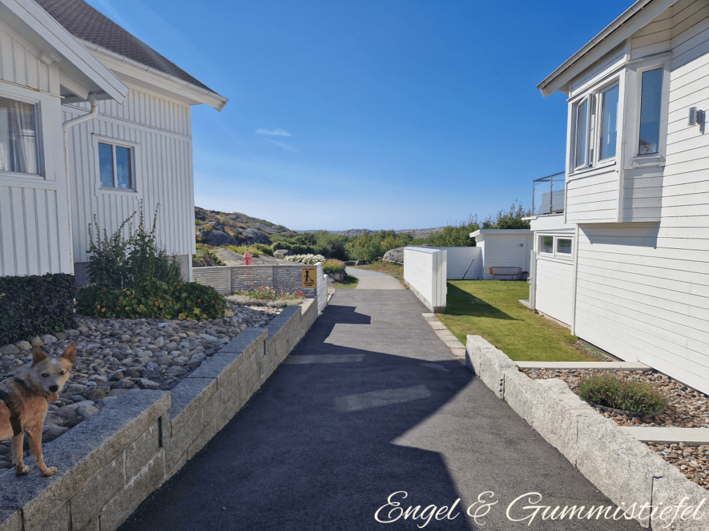 Bohus Malmön | Engel & Gummistiefel